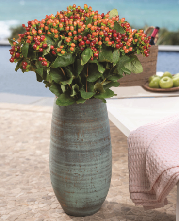 Hypericum in. 'Globo Coral' – Verdant Yakima
